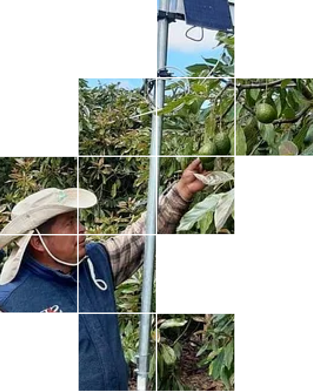 Impact Policy - Bootstrap Europe